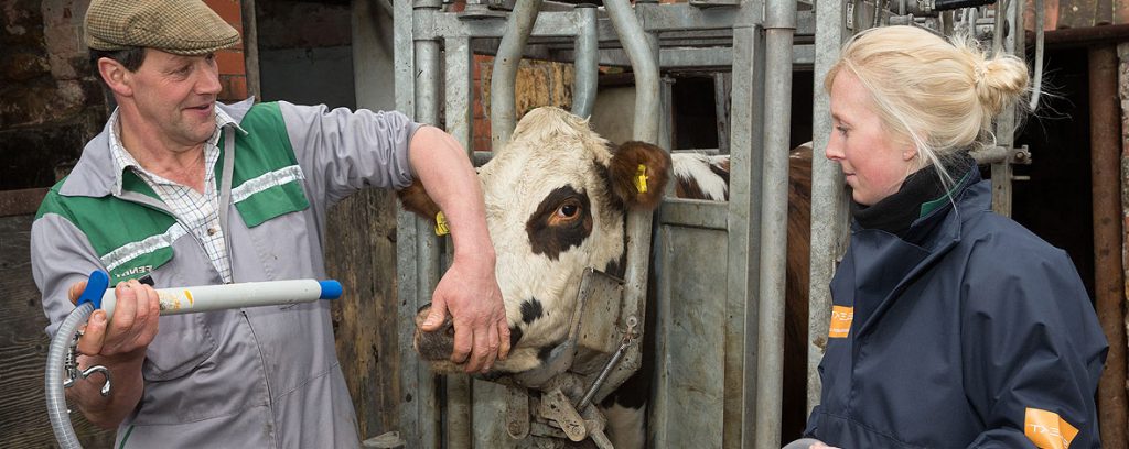 SELEKT Herkauwers | Nimrod Nederland | Nimrod Veterinary Products